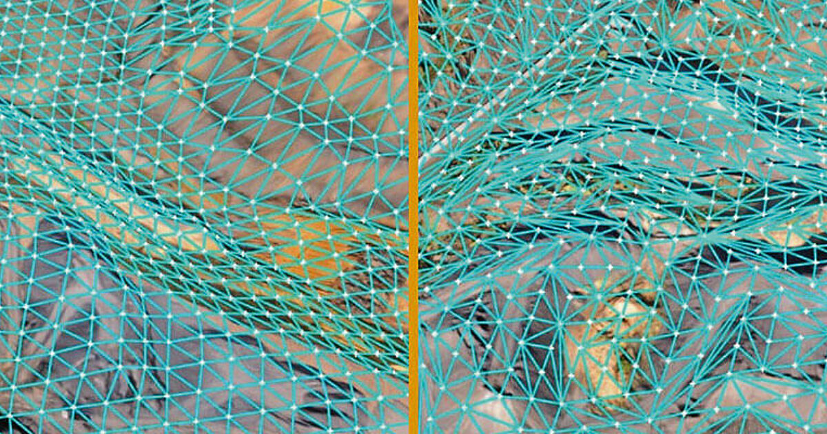 Virtual Surveyor unveils innovative method of generating topographic ...