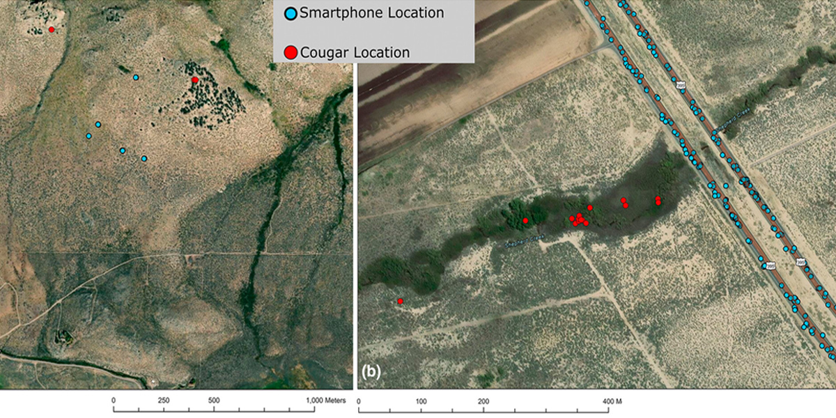 Smartphone GPS data pinpoints where people and wildlife cross paths ...